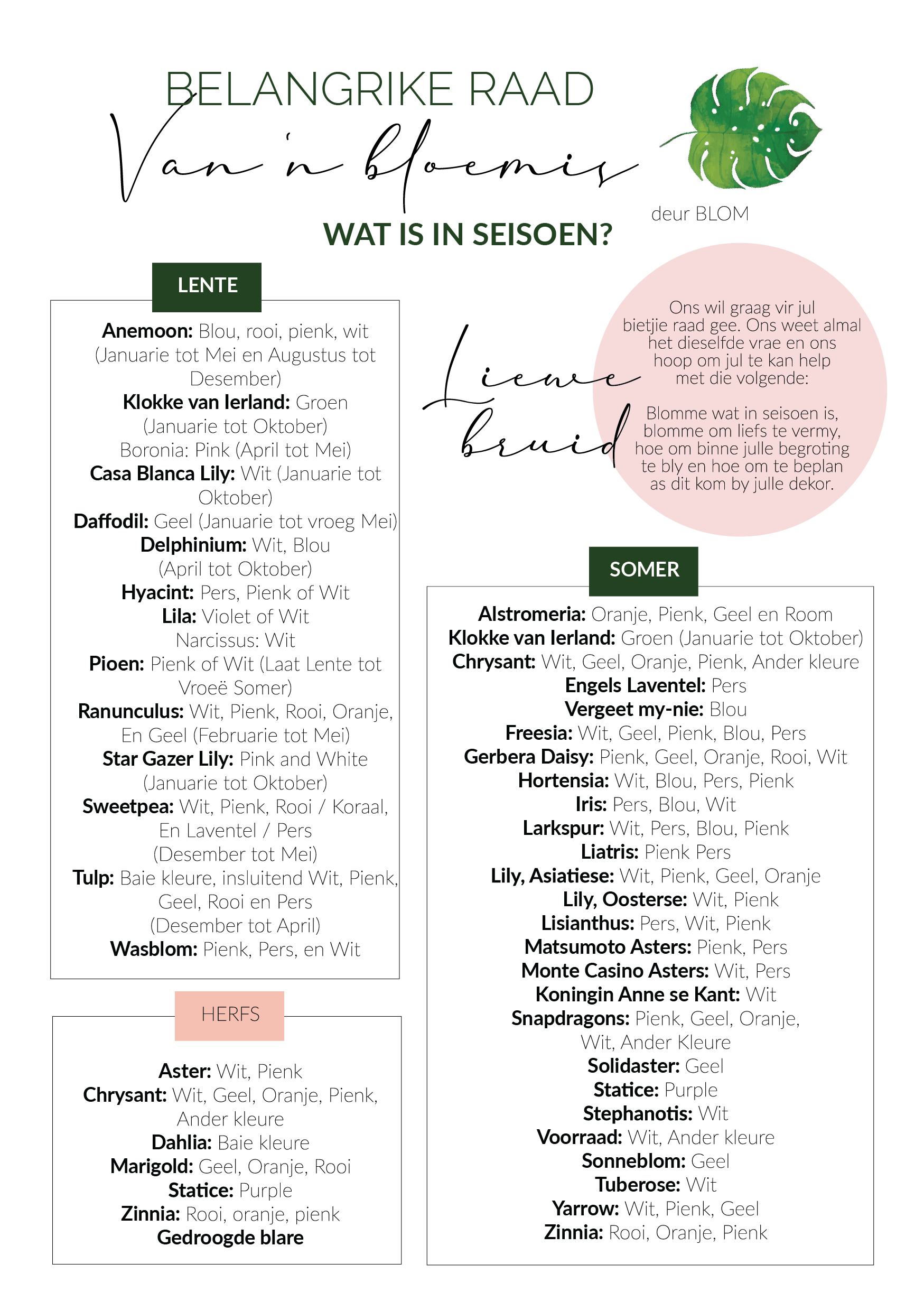 Hoe kies ek my blomme | Trou Idees